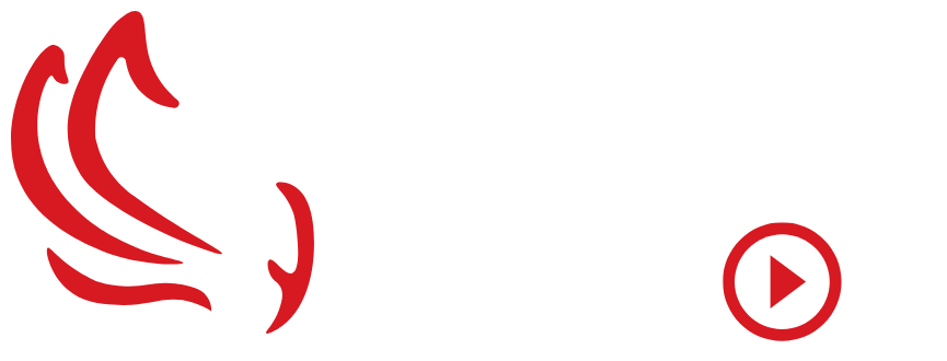 Divine Hub